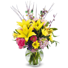 Ramo De Rosas Rosadas, República Dominicana