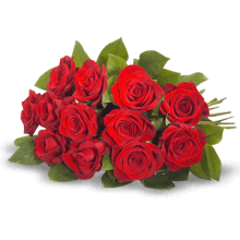 Ramo De Rosas Rosadas, República Dominicana